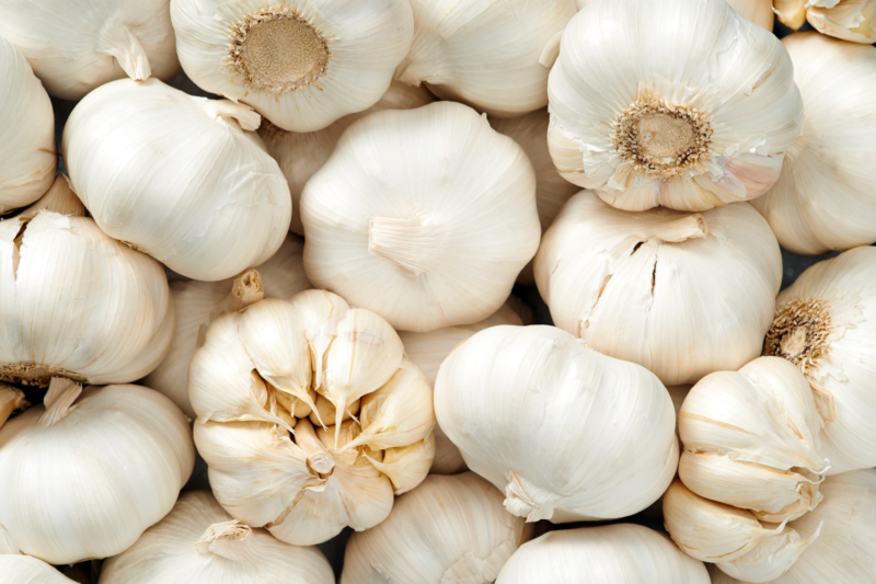 Mediterranean Herbs and Spices: A Beginner's Guide
