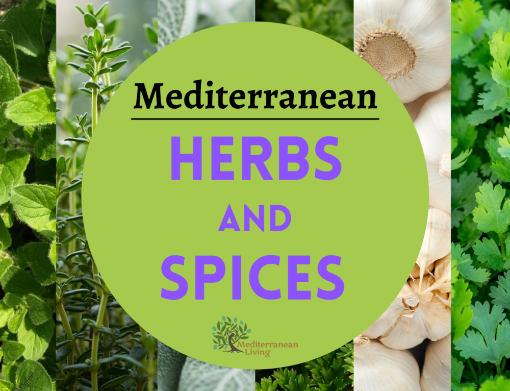 Wild Healing Herbs of Crete - Mediterranean Living
