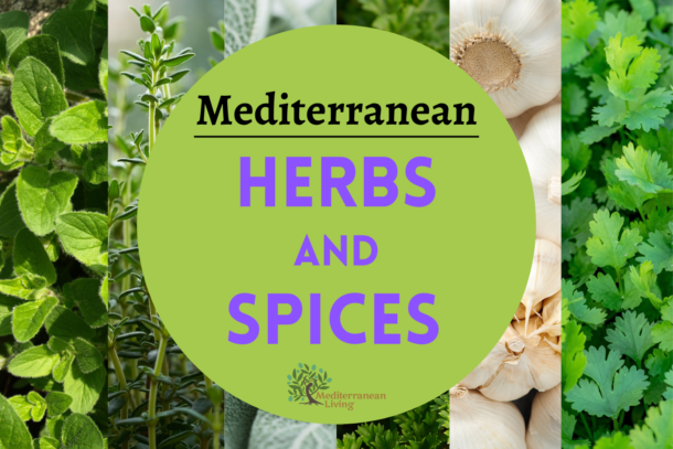 Mediterranean Herbs and Spices: A Beginner's Guide